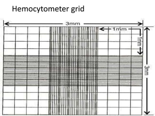 Haemocytometer ppt animal cell culture | PPTX