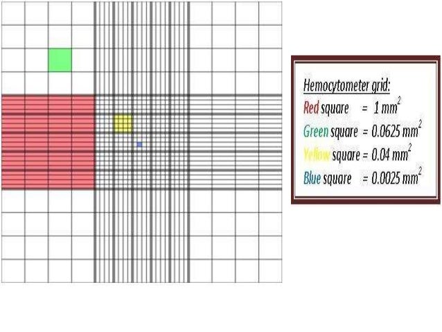 Haemocytometer ppt animal cell culture