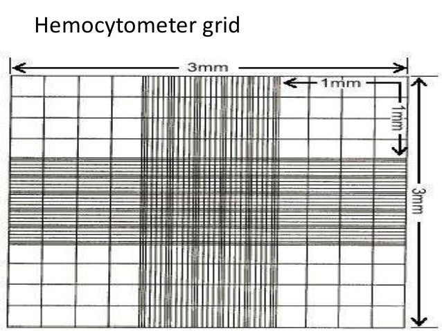 Haemocytometer ppt animal cell culture