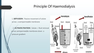 Haemodialysis | PPTX