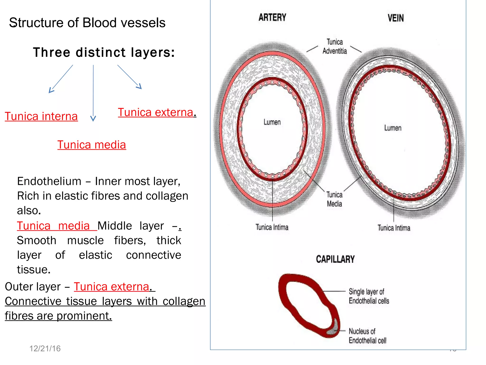 Haemodynamics dr. kamla choudhary | PPT