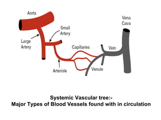 Haemodynamics dr. kamla choudhary | PPT