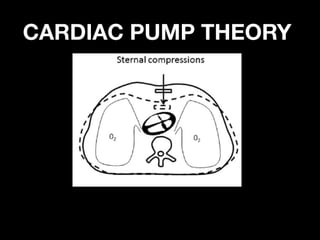 Haemodynamics during mechanical CPR | PDF