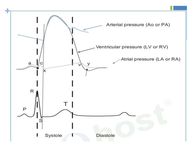 HEMODYNAMICS PRINCIPLES -PRESSURE MEASUREMENT -MEASUREMENT OF CARDIAC ...