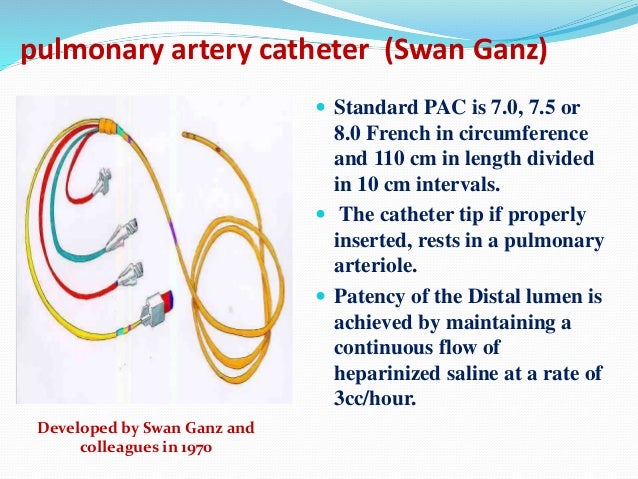 Haemodynamic wave forms