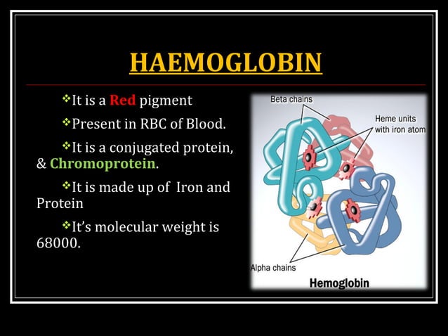 Haemoglobin | PPT | Blood Disorders | Diseases and Conditions