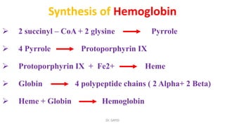Haemoglobin | PPTX | Blood Disorders | Diseases and Conditions