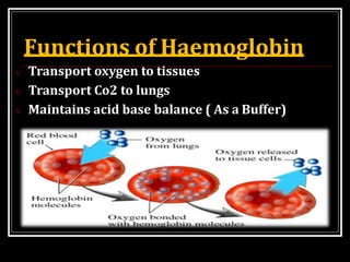 Haemoglobin | PPTX | Blood Disorders | Diseases and Conditions