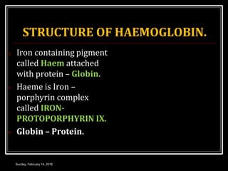 Haemoglobin | PPTX | Blood Disorders | Diseases and Conditions