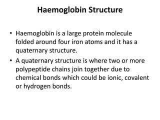 Haemoglobin | PPT