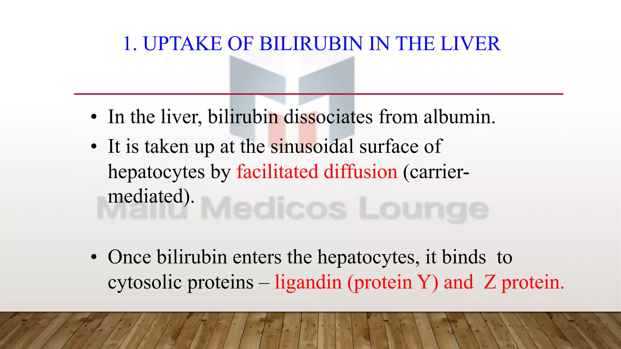 Heme Catabolism and Degradation Pathway #Bilirubin metabolism | PDF