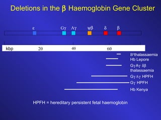 Haemoglobinopathies | PPT