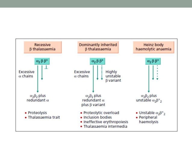 Haemoglobinopathies | PPTX | Blood Disorders | Diseases and Conditions