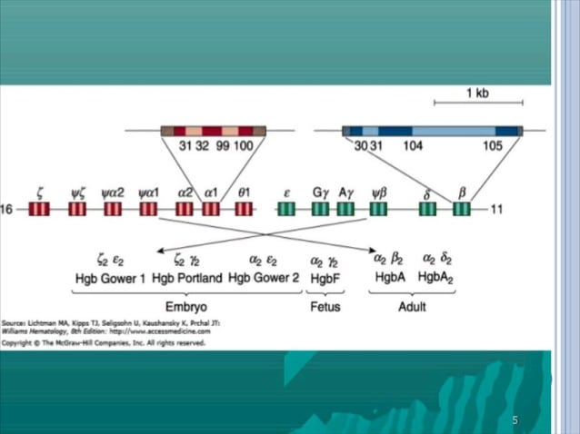 Haemoglobinopathies | PPT