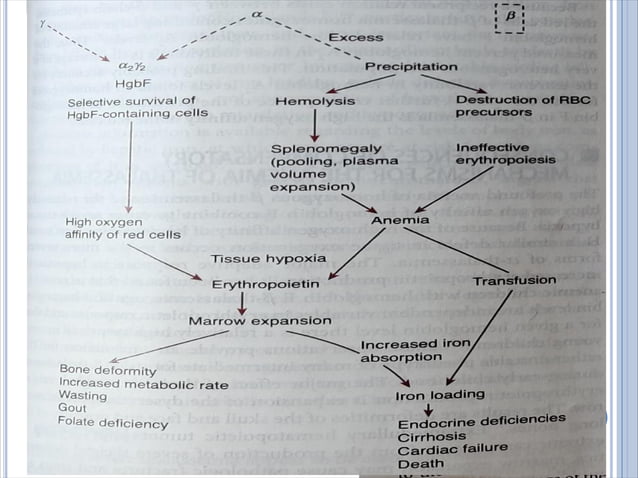 Haemoglobinopathies | PPT