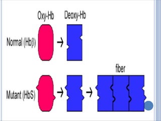 Haemoglobinopathies | PDF