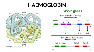 HAEMOGLOBINOPATHIES Pathogenesis and Clinical features.pptx