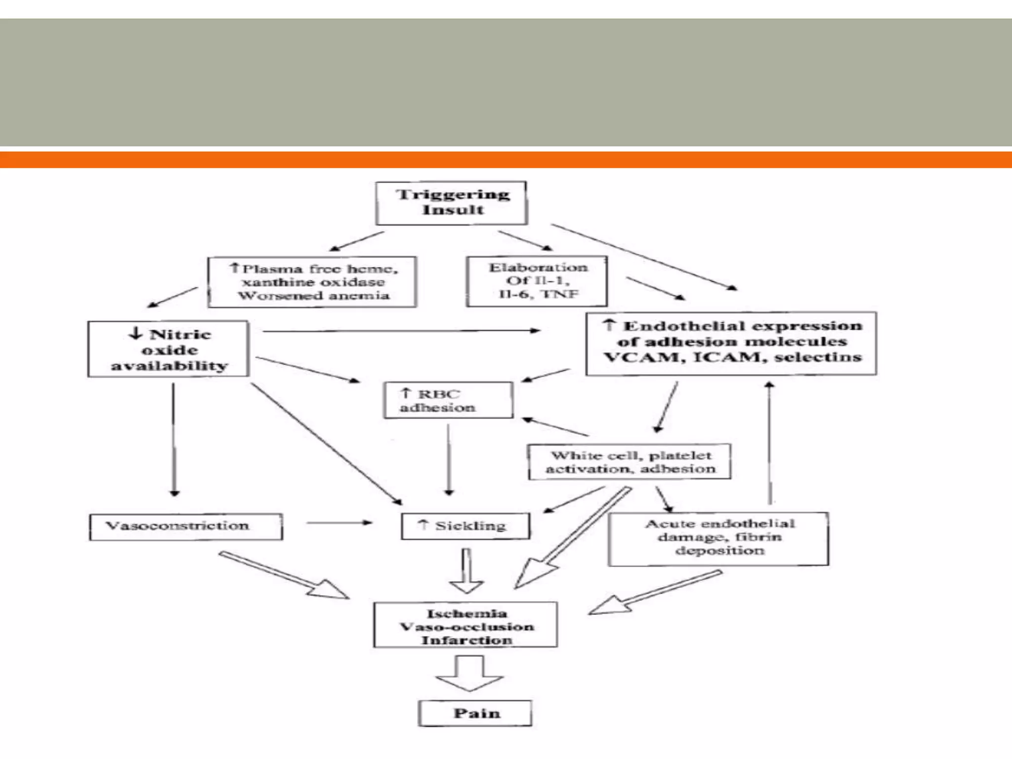 Haemoglobinopathies thalassemia, prophyrias and sickle cell disease- | PPTX
