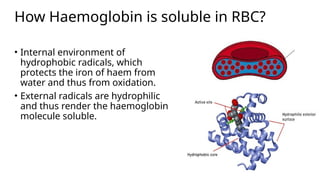 pathology of Haemoglobinopathy of blood explained | PPTX