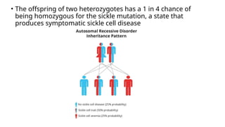 Haemoglobinopathy ppt for medical student | PPTX