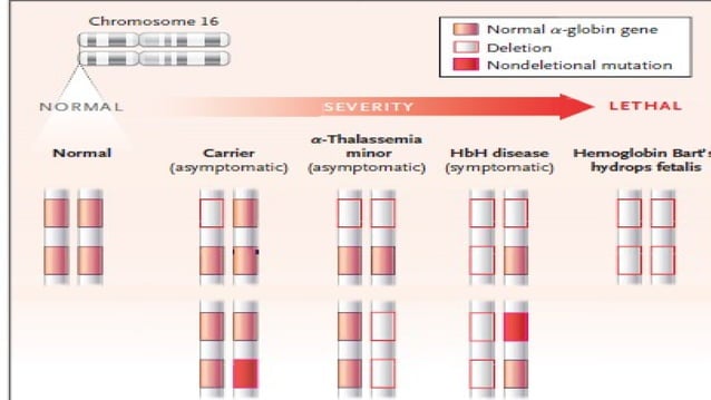 HAEMOGLOBINOPATHY; ALPHA AND BETA THALASSEMIA SLIDE.pptx