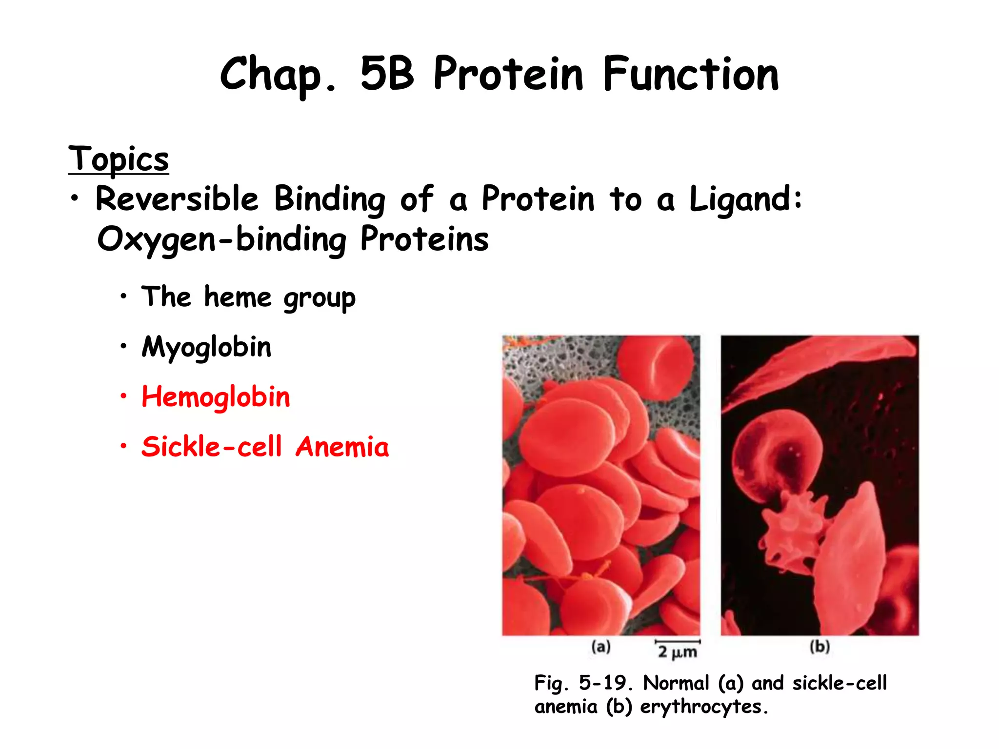 HAEMOGLOBIN PPT 1.ppt