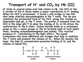 HAEMOGLOBIN PPT 1.ppt
