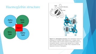 Haemoglobin ss | PPT