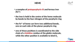 Haemoglobin structure and gas transport (Curriculum 2021) - TBK.pptx