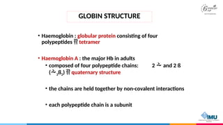 Haemoglobin structure and gas transport (Curriculum 2021) - TBK.pptx