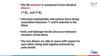 Haemoglobin structure and gas transport (Curriculum 2021) - TBK.pptx