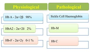 Hemoglobin Synthesis and types of Hemoglobin.ppt