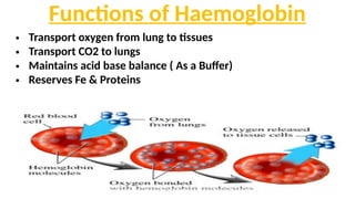 Hemoglobin Synthesis and types of Hemoglobin.ppt