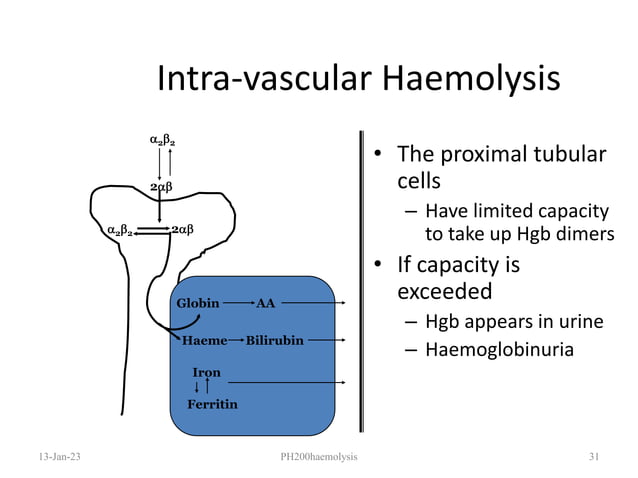 Haemolysis.ppt