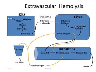 Haemolysis.ppt