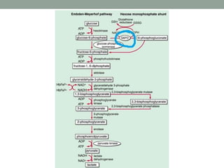 Haemolytic anemia | PPTX