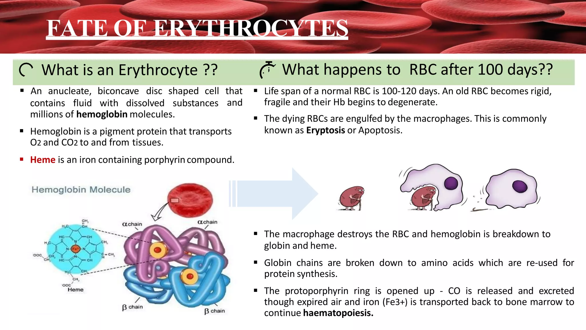 Haemolytic anemia | PDF