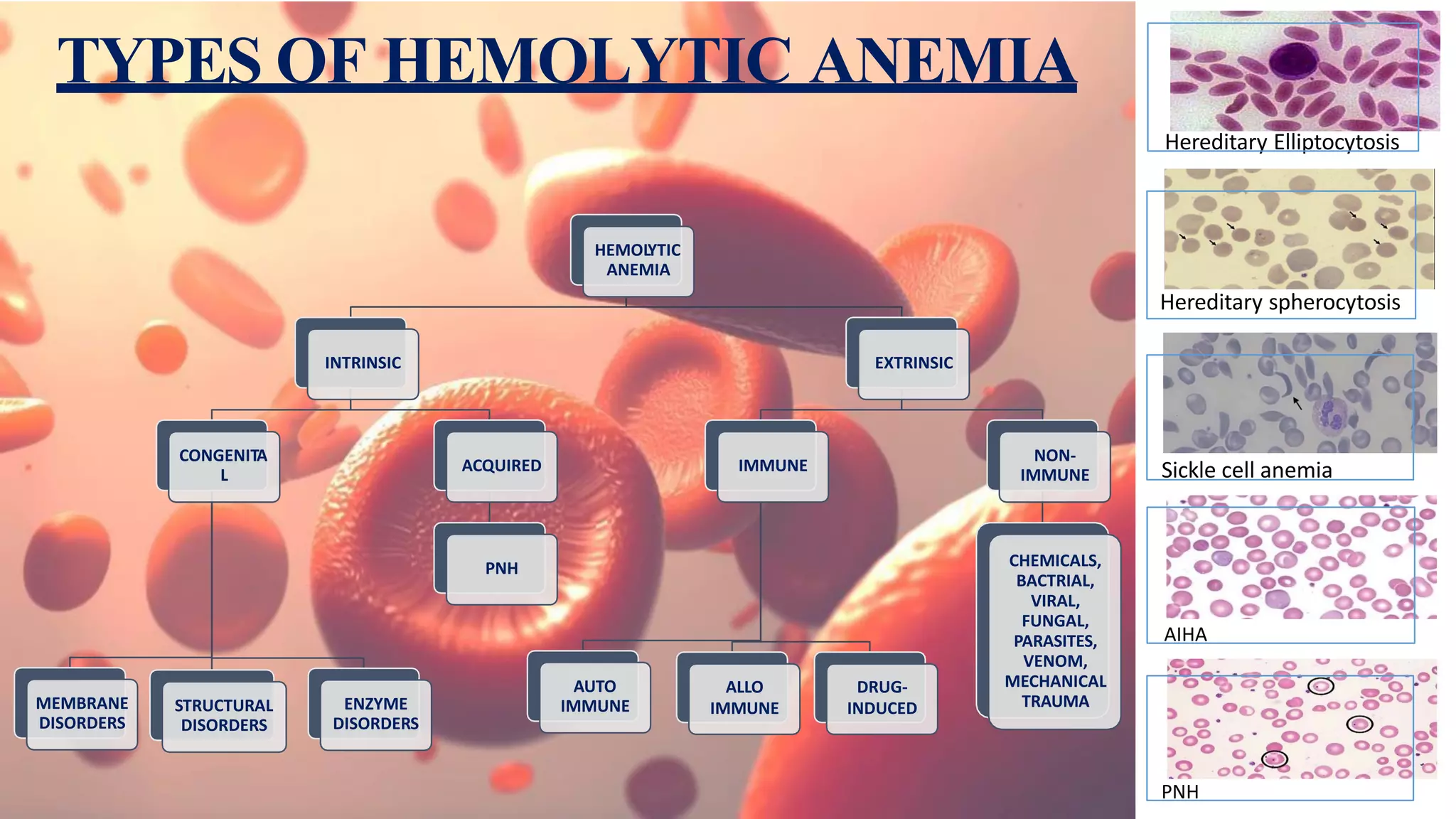 Haemolytic anemia | PDF