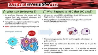 Haemolytic anemia | PPT