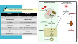 Haemolytic anemia | PPT
