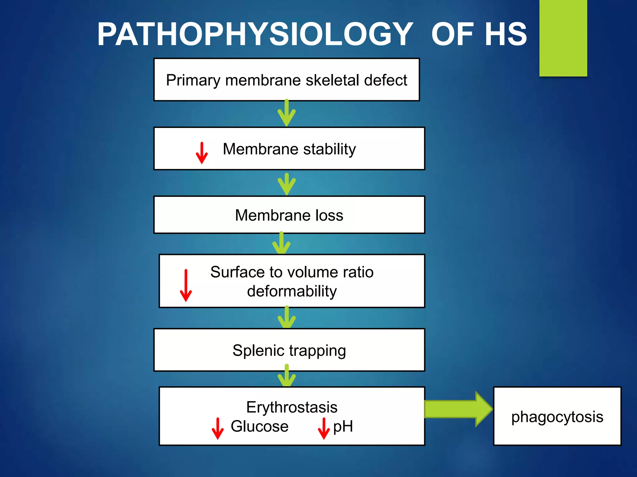 Haemolytic anemia | PPTX