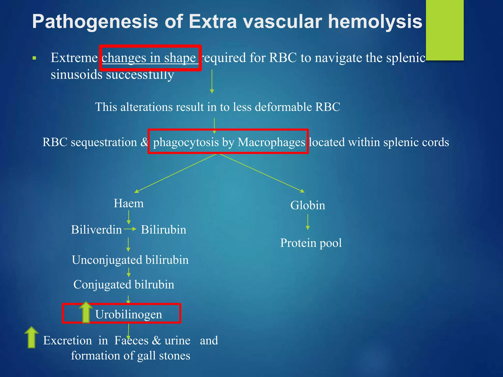 Haemolytic anemia | PPTX