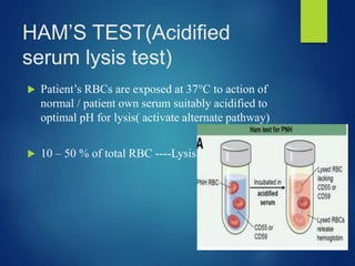 Haemolytic anemia | PPTX