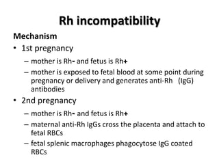 HAEMOLYTIC DISEASE OF THE NEW BORN (HDN).pptx