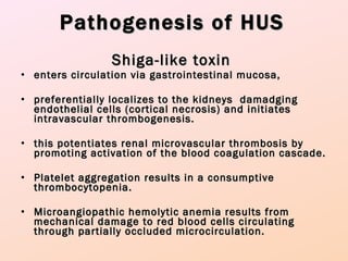 Haemolytic uraemic syndrome | PPT