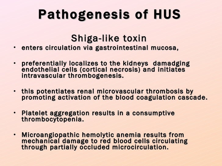 Haemolytic uraemic syndrome