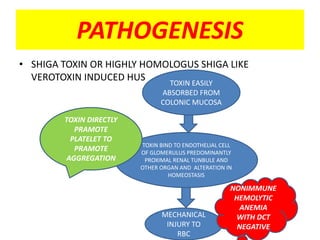 Hemolytic uremic syndrome | PPTX