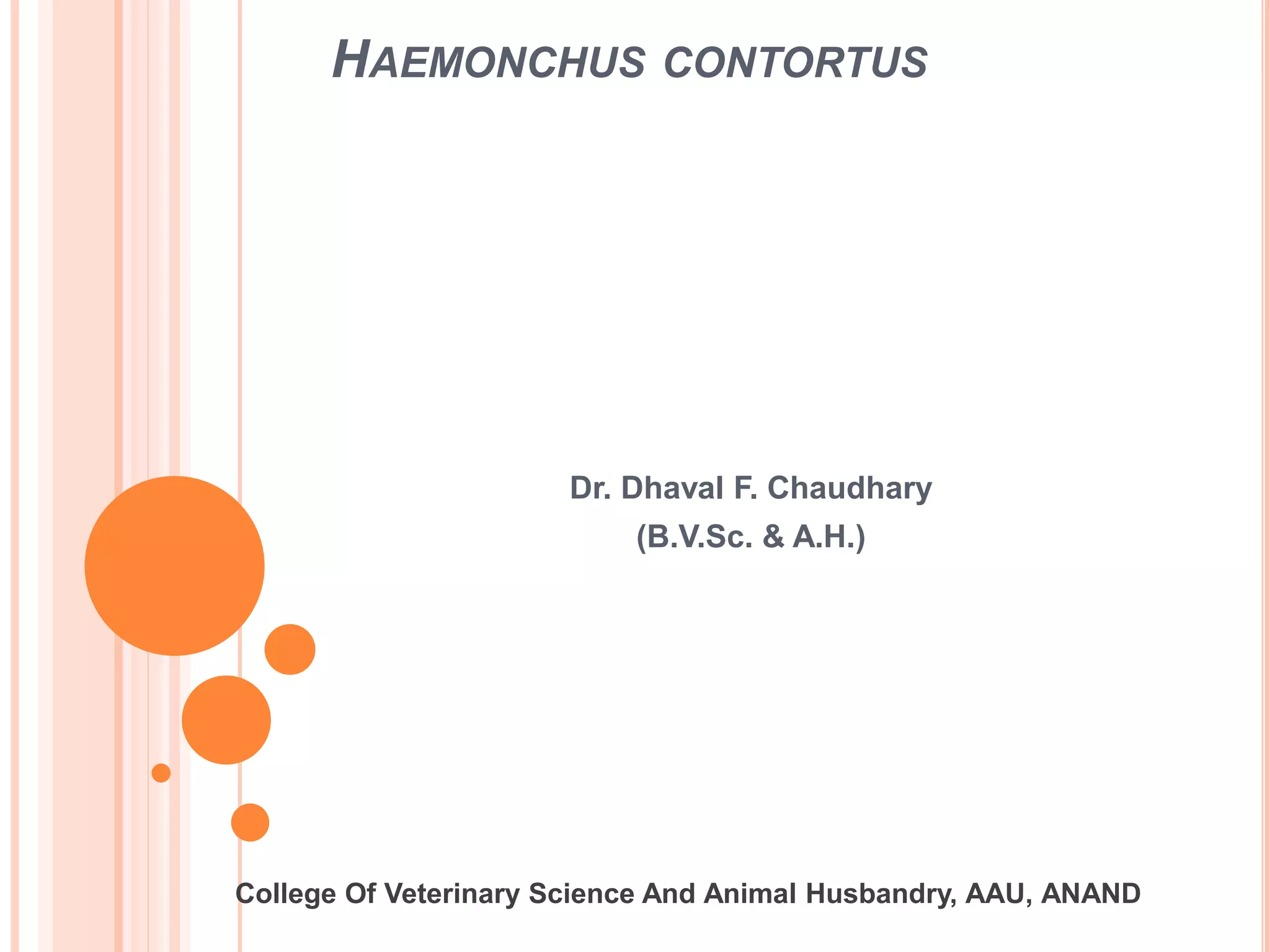 Haemonchus contortus | PPTX | Blood Disorders | Diseases and Conditions