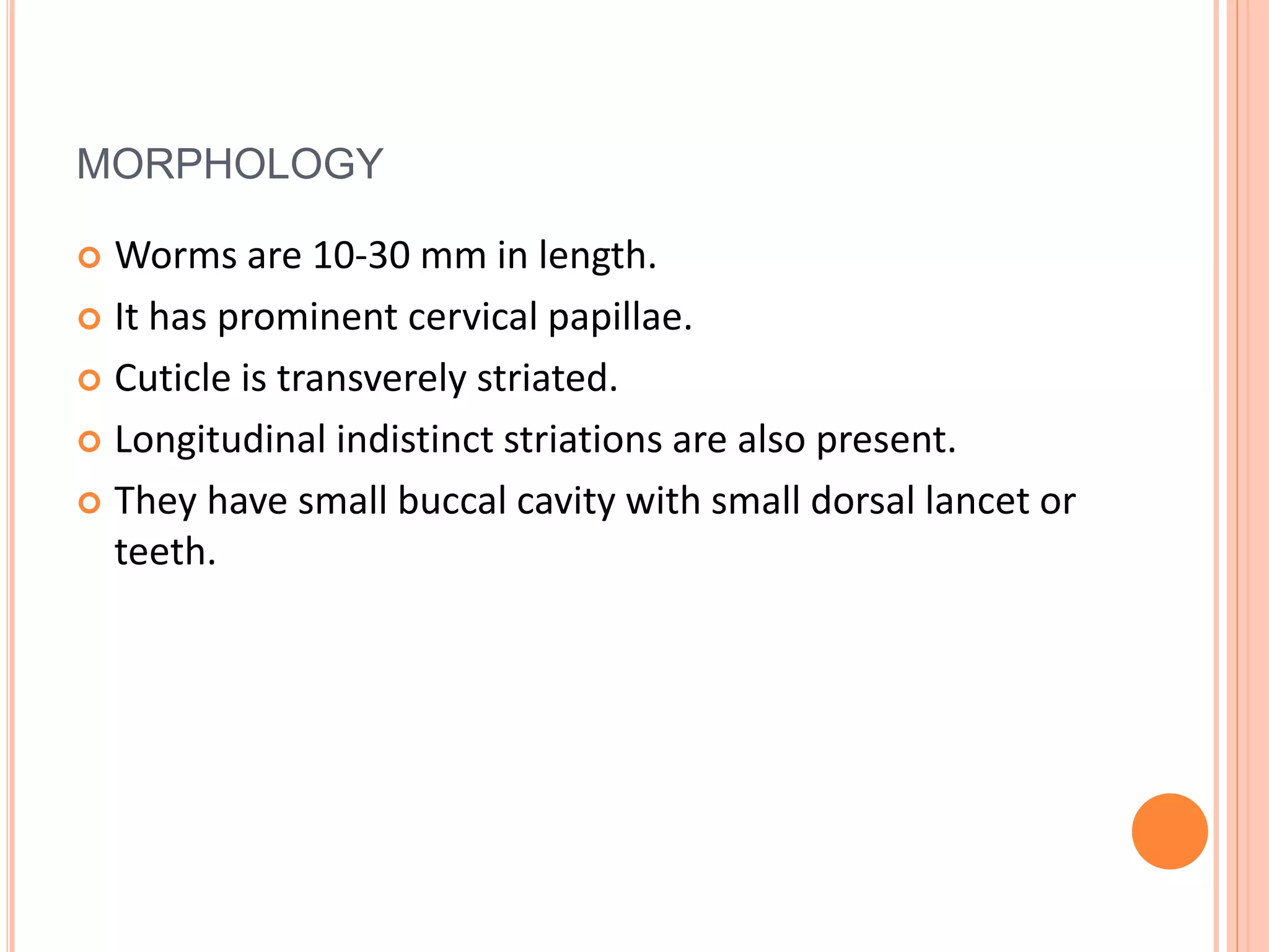 Haemonchus contortus | PPTX