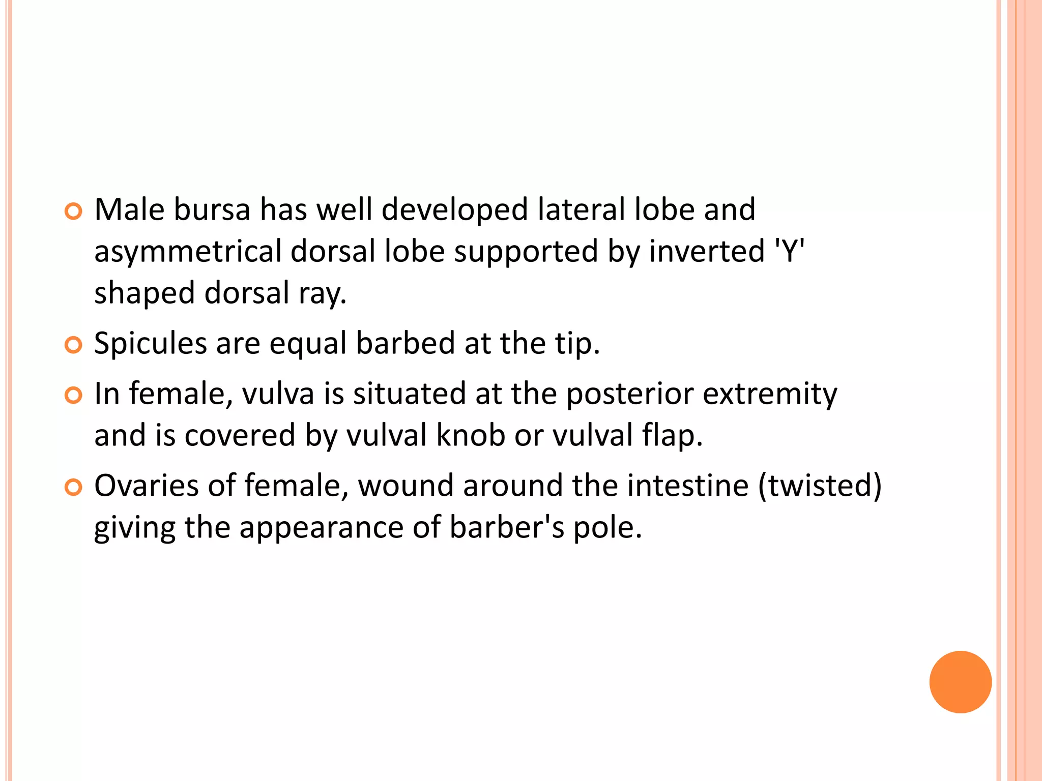 Haemonchus contortus | PPTX